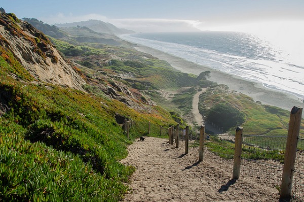 Fort Funston: San Francisco's Most Beautiful Dog Beach | Ever In Transit